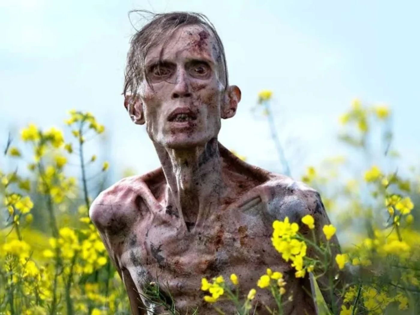 Extermínio 2003 volta a bombar na Prime Video após estreia do novo ...