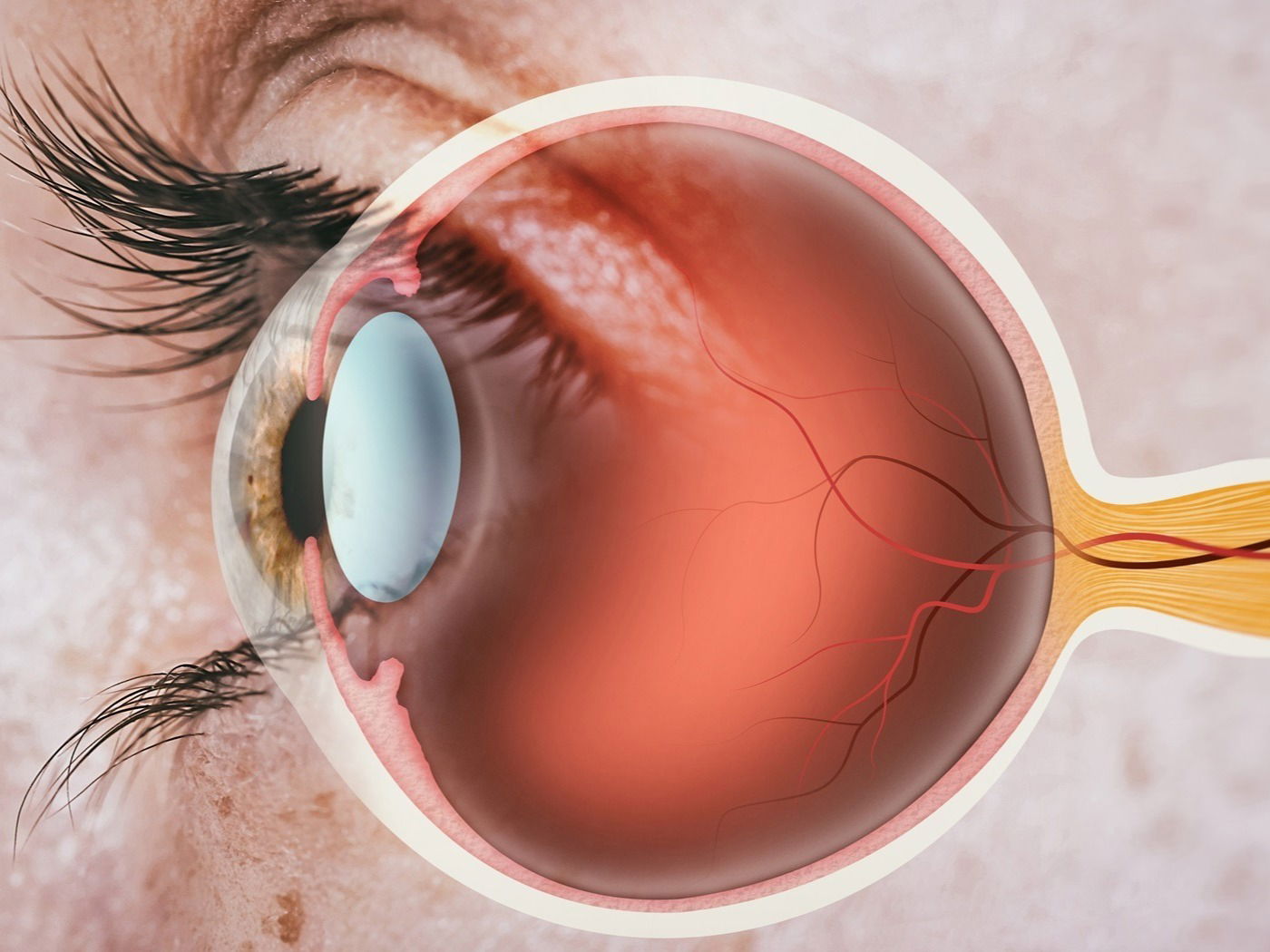 IA diagnostica autismo em crianças com 100% de precisão por fotos da ...