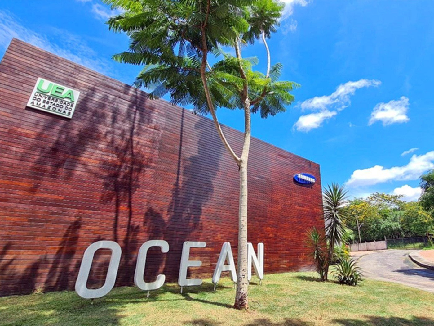 Samsung Ocean abre agenda de capacitação tecnológica gratuita; saiba ...